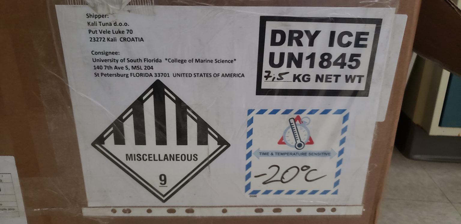 Tuna eyes - shipment - Fish Ecology Lab