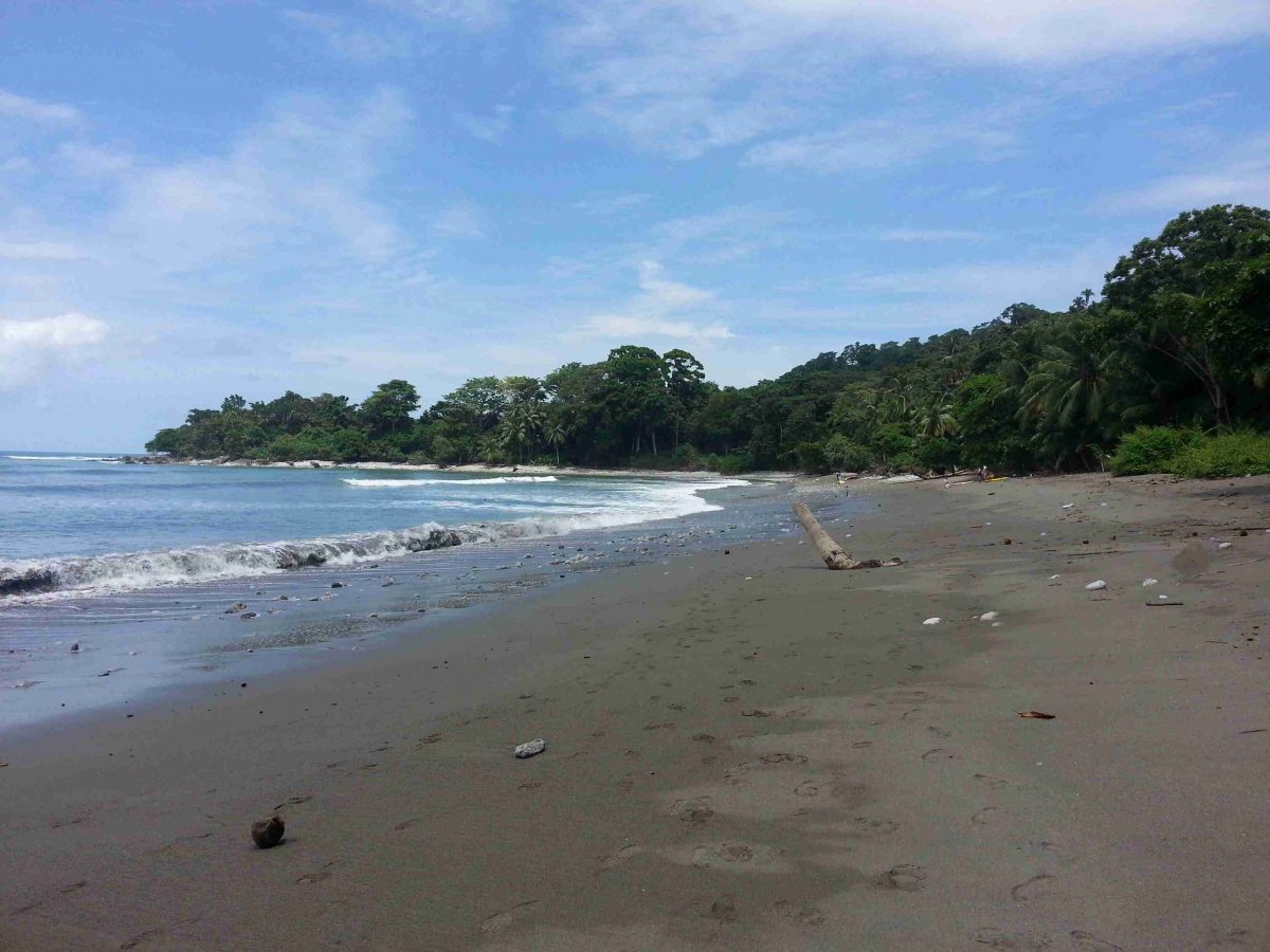 CR empty beach – MERA Investigation