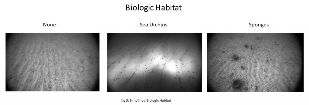 What is a Benthic Habitat Map? – C-SCAMP