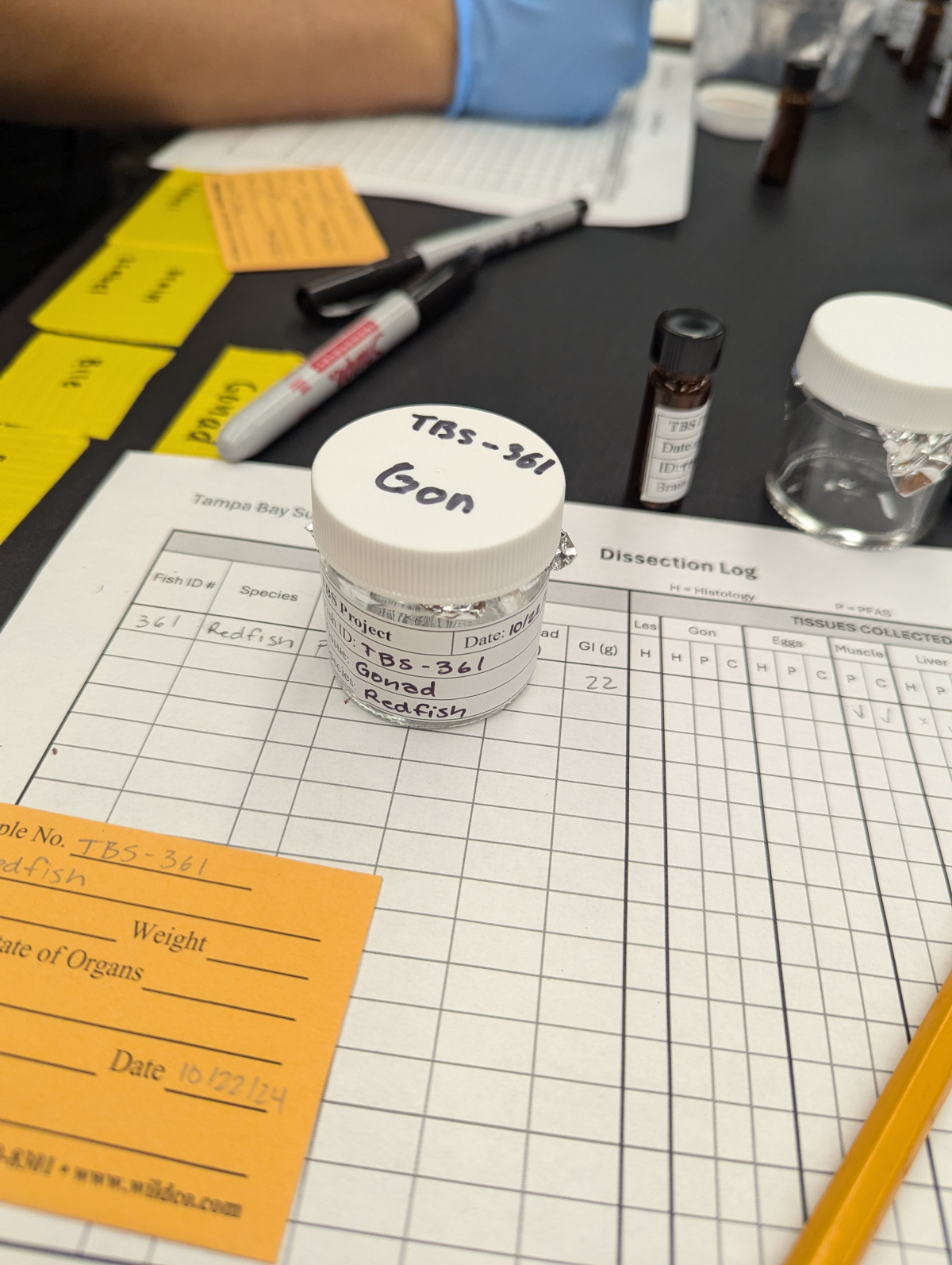 Senior Graphic Design Class Does Science – Tampa Bay Chemical ...