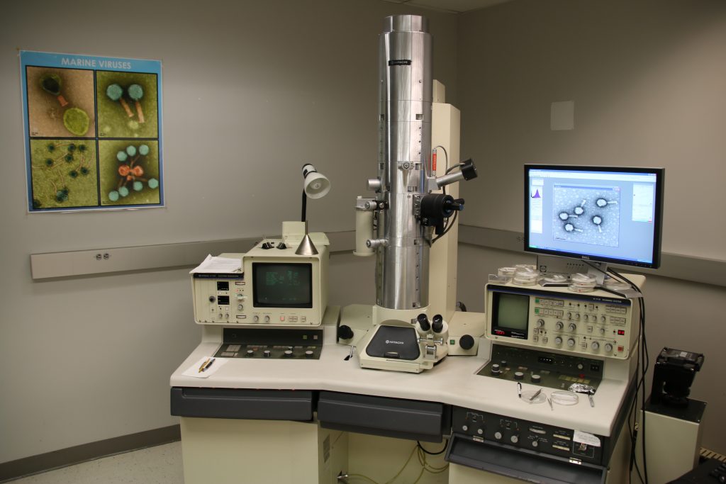 Transmission Electron Microscope Details/Evidence at Katharyn Cheryl blog Transmission Electron Microscope Details/Evidence at Katharyn Cheryl blog